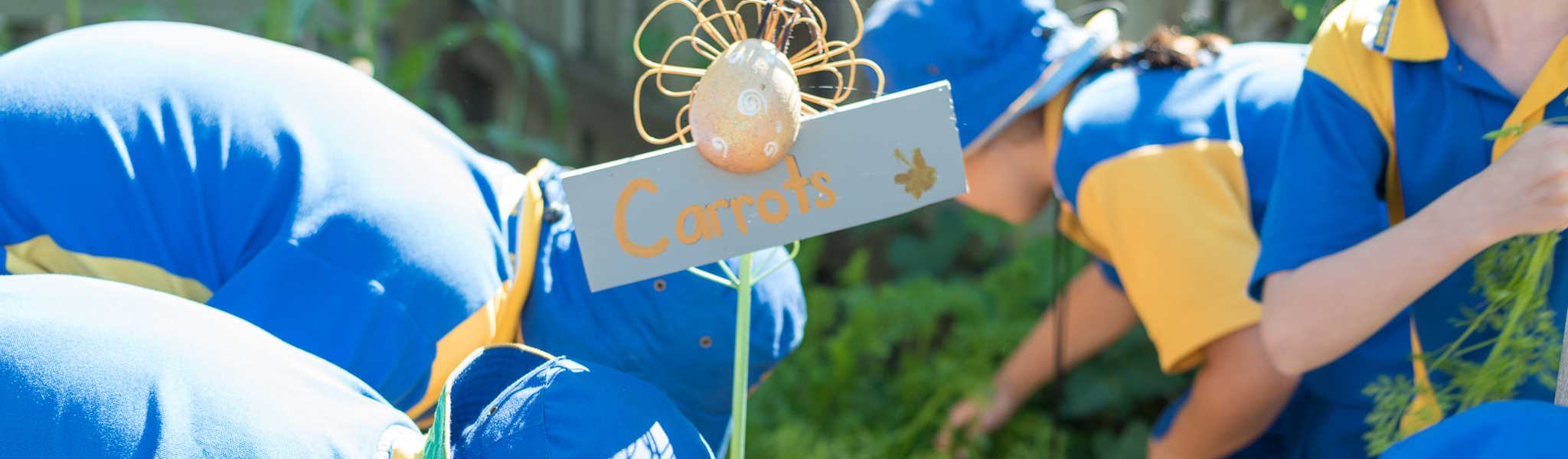 Ferny Grove State School